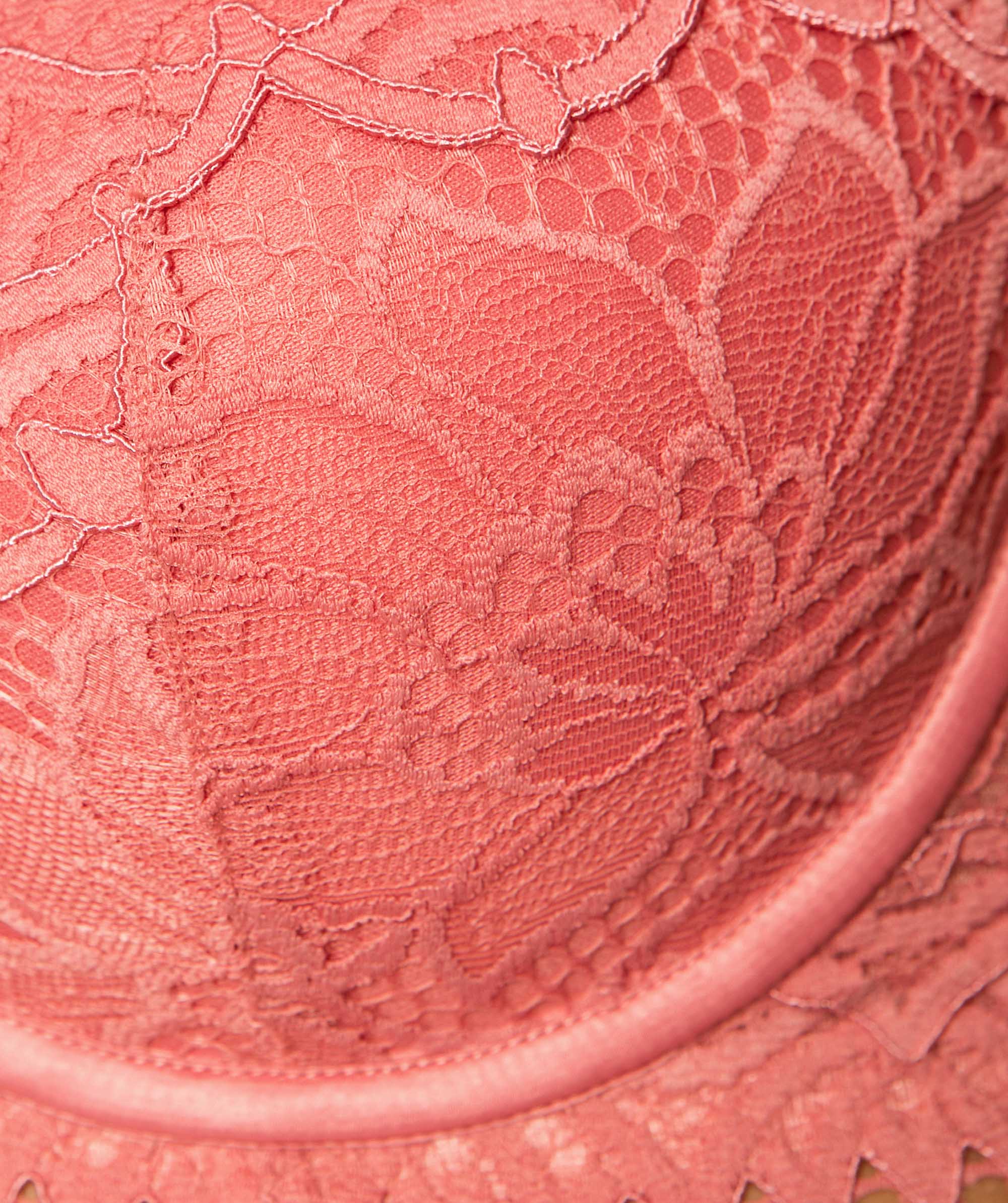 Venice Dentele Plunge Double Push Up Bra